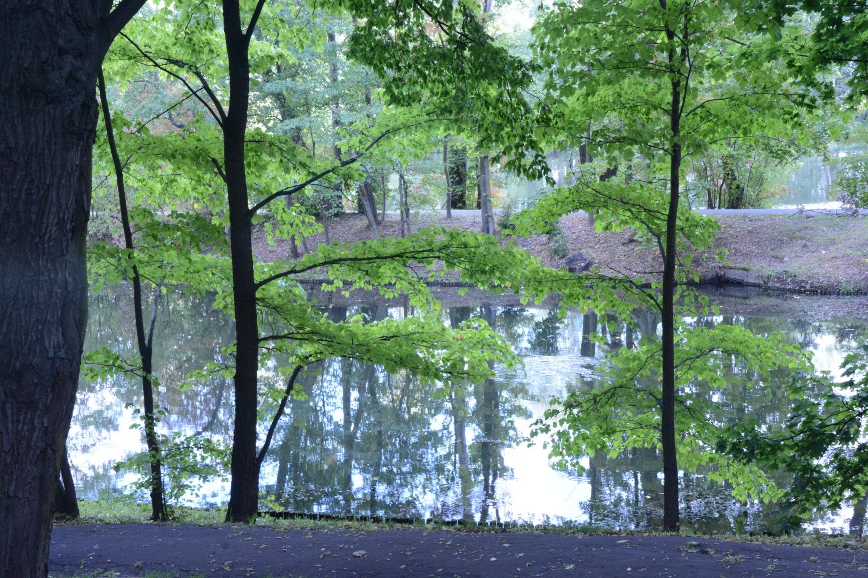 The Revolutionary Genius of Plants: A New Understanding of Plant ...