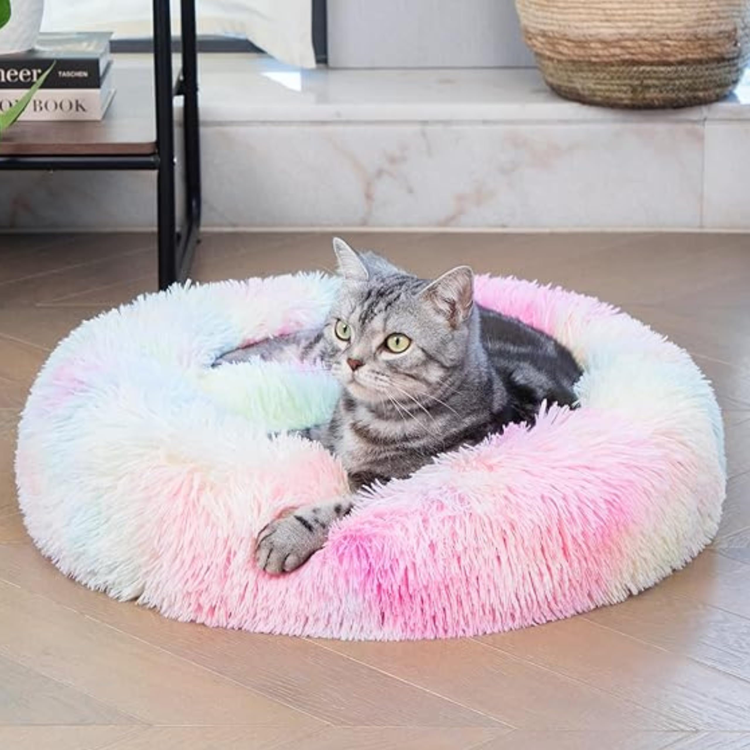 amazon basics Premium Soft Velvet Cats Kittens Pet Hut House | (L x W x ...