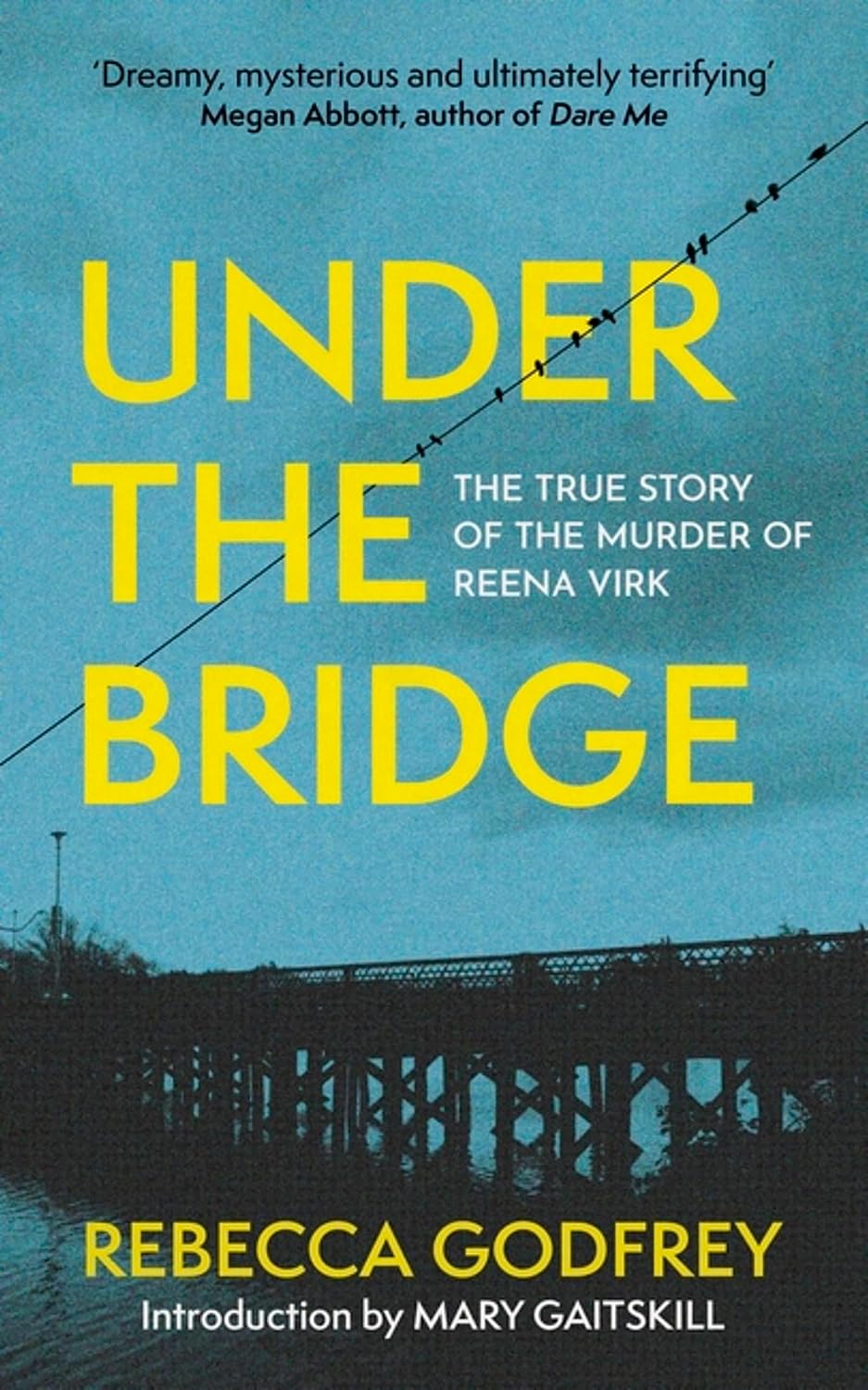 Under the Bridge: The True Story of the Murder of Reena Virk: Amazon.co ...