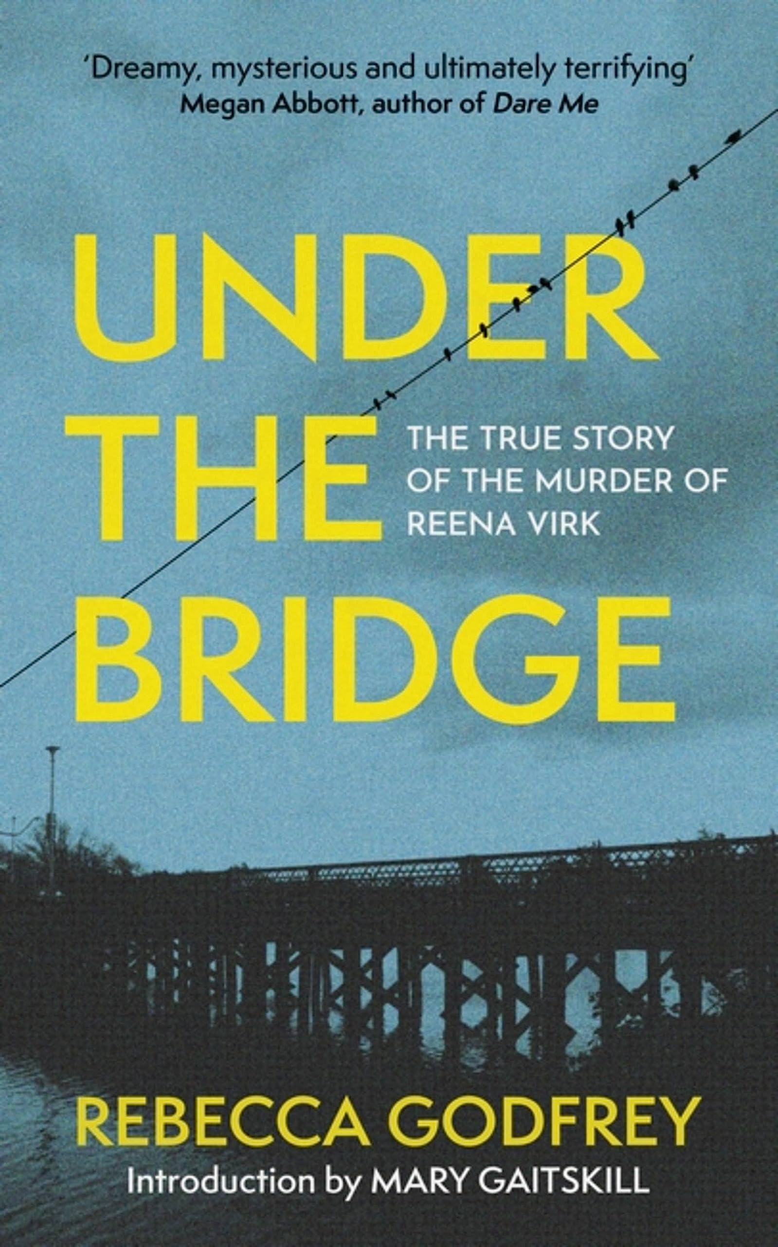 Under the Bridge: The True Story of the Murder of Reena Virk: Amazon.co ...