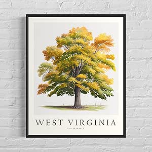 Amazon.com: West Virginia State Tree Art Print, West Virginia Poster ...
