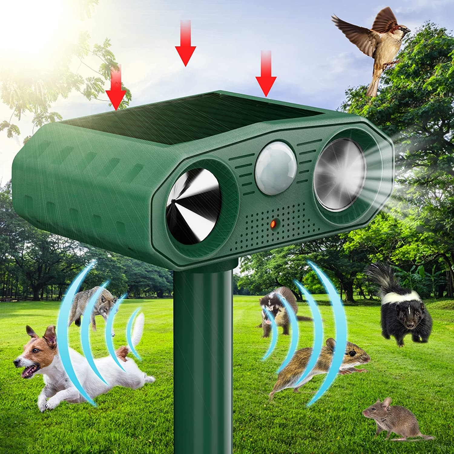 Amazon.com : Solar Animal Repeller,Ultrasonic Outdoor Mole Repellent ...