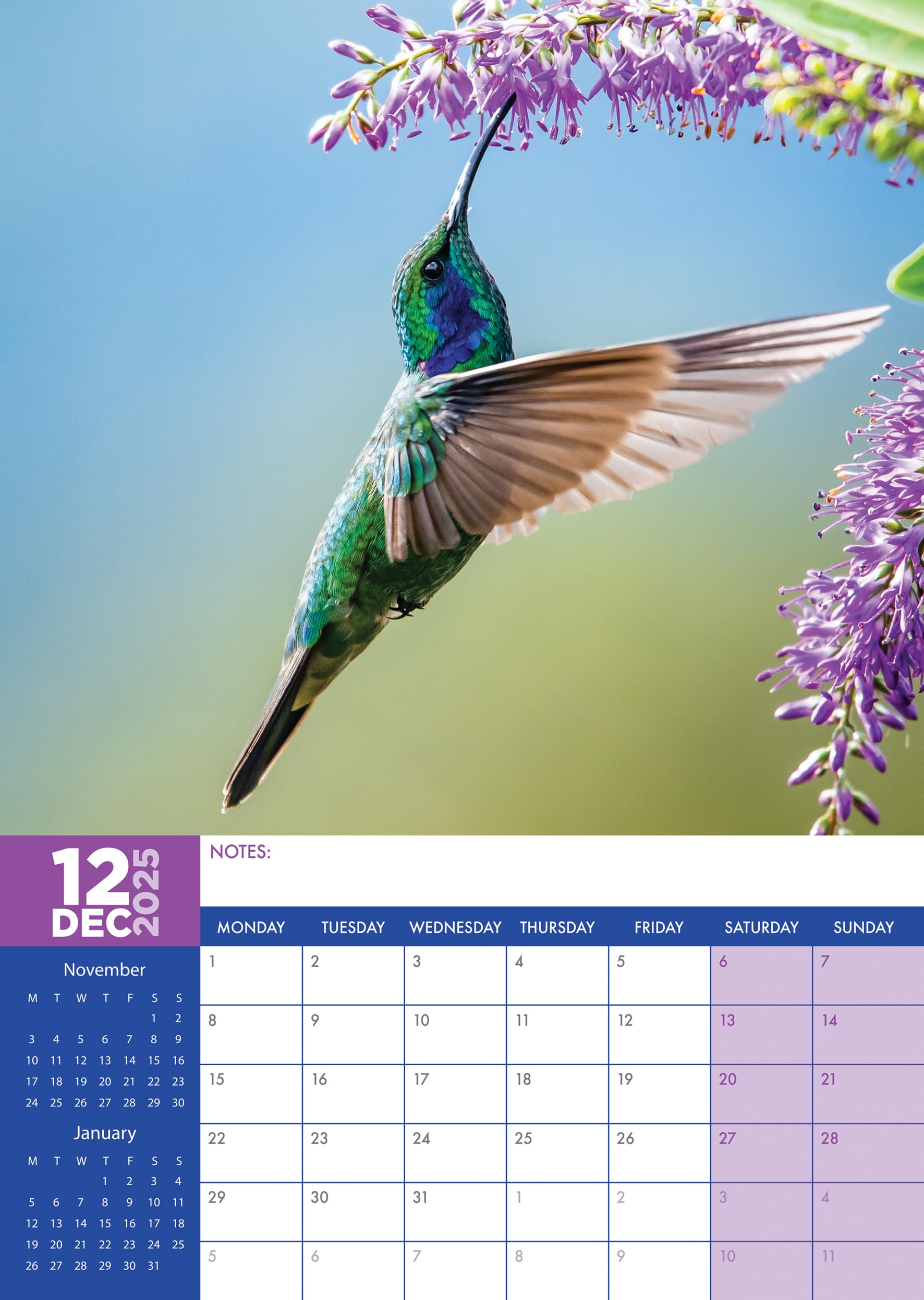 Hummingbirds 2025 – A3 Size Wirobound Calendar – BigaMart