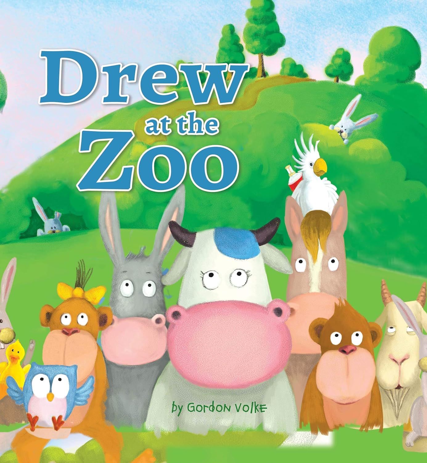 Drew At The Zoo - A Rhyming Animal Story For Children - Padded Board ...