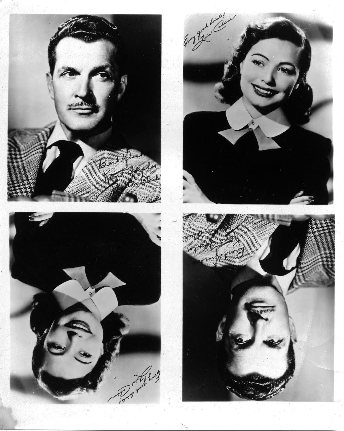 Kent Taylor Lois Collier Original 8x10 photo G8940 at Amazon's ...