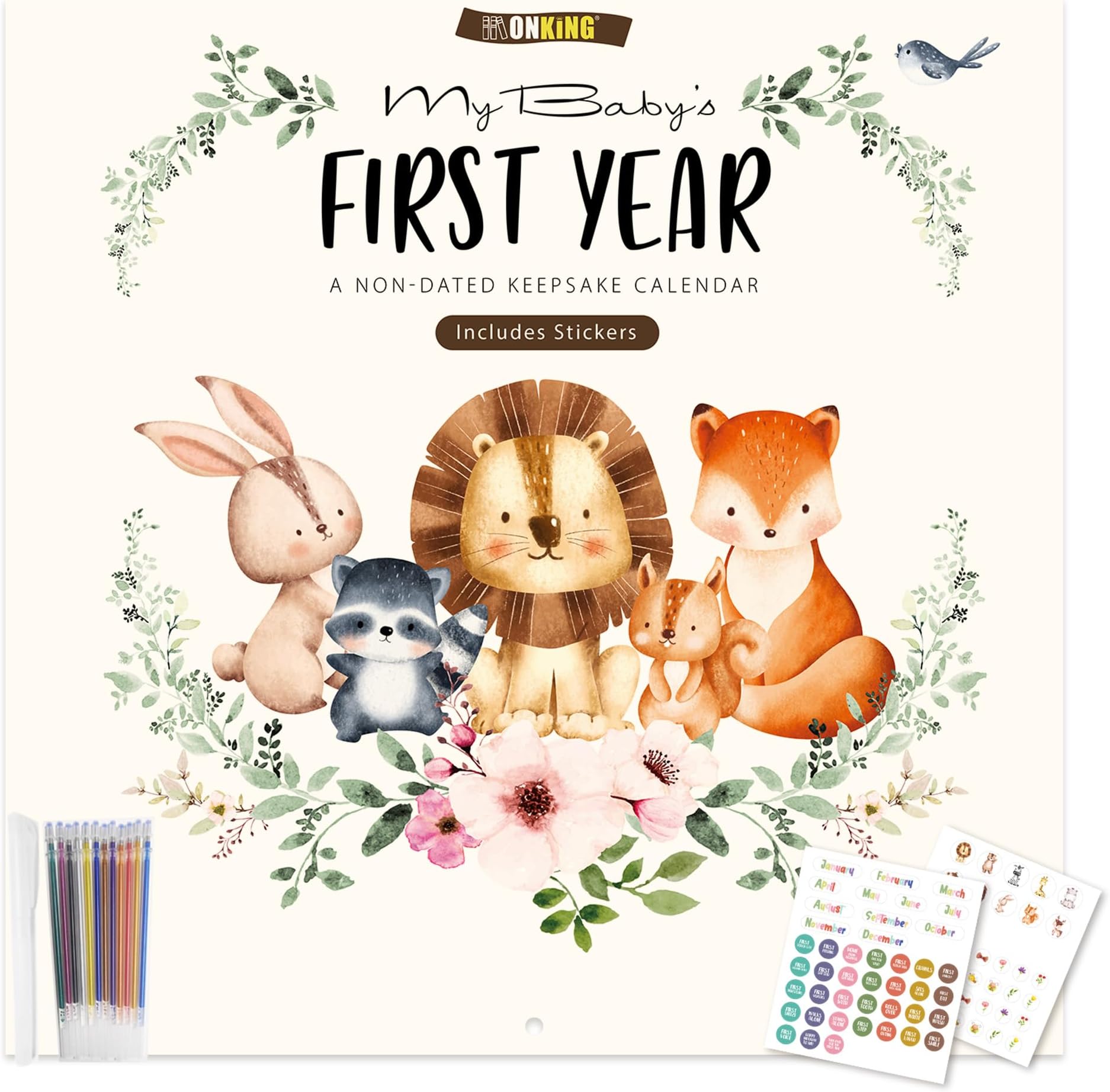 Amazon.com: Baby's First Year Calendar with Stickers by Bright Day ...