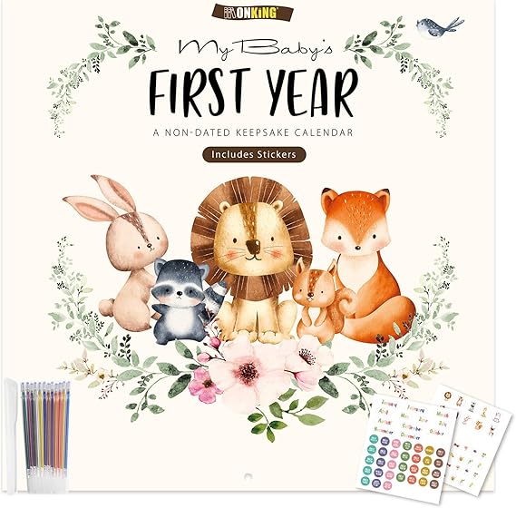 Amazon.com: Baby's First Year Calendar with Stickers by Bright Day ...