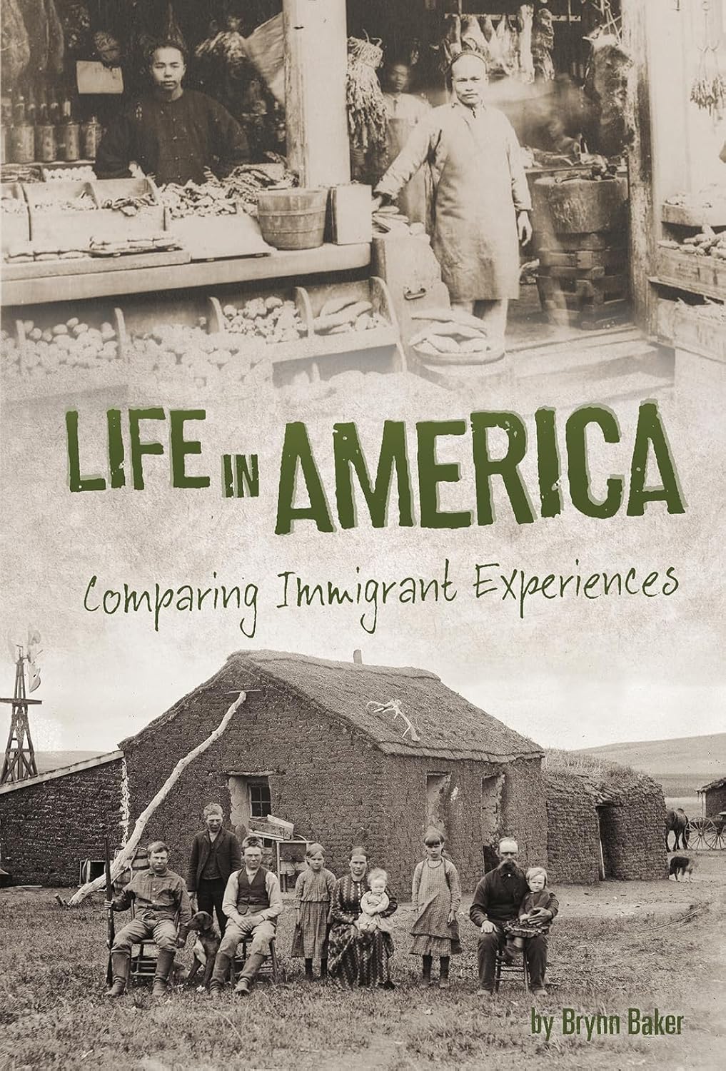 Life in America: Comparing Immigrant Experiences (Connect: U.S ...