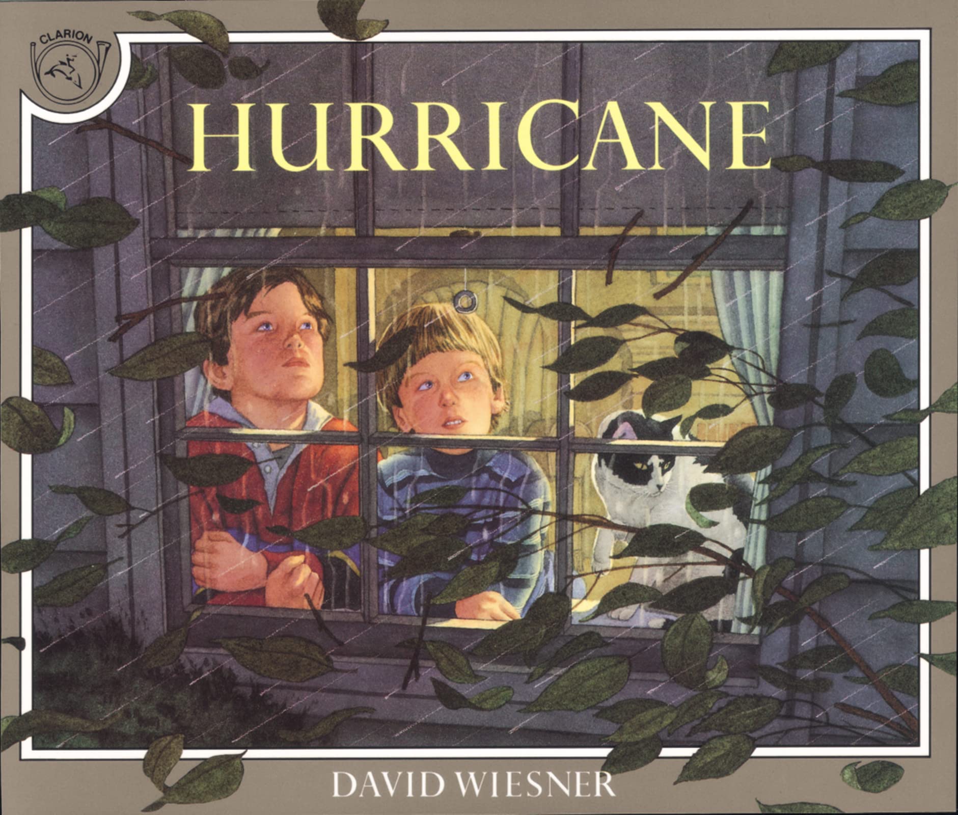 Hurricane (paperback) : Wiesner, David: Amazon.co.uk: Books