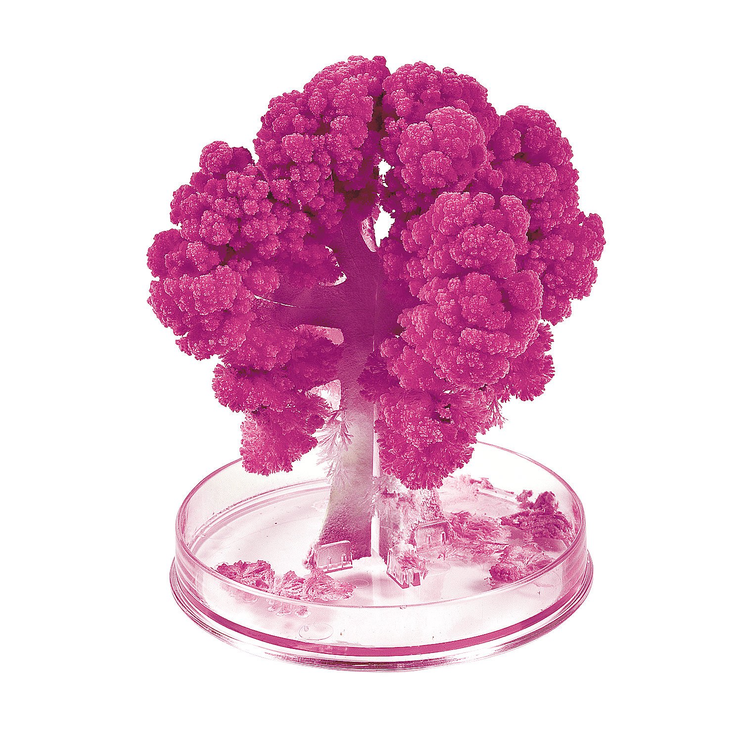 Buy Fun Express Magic Growing Trees - 12 Pieces - Educational and ...