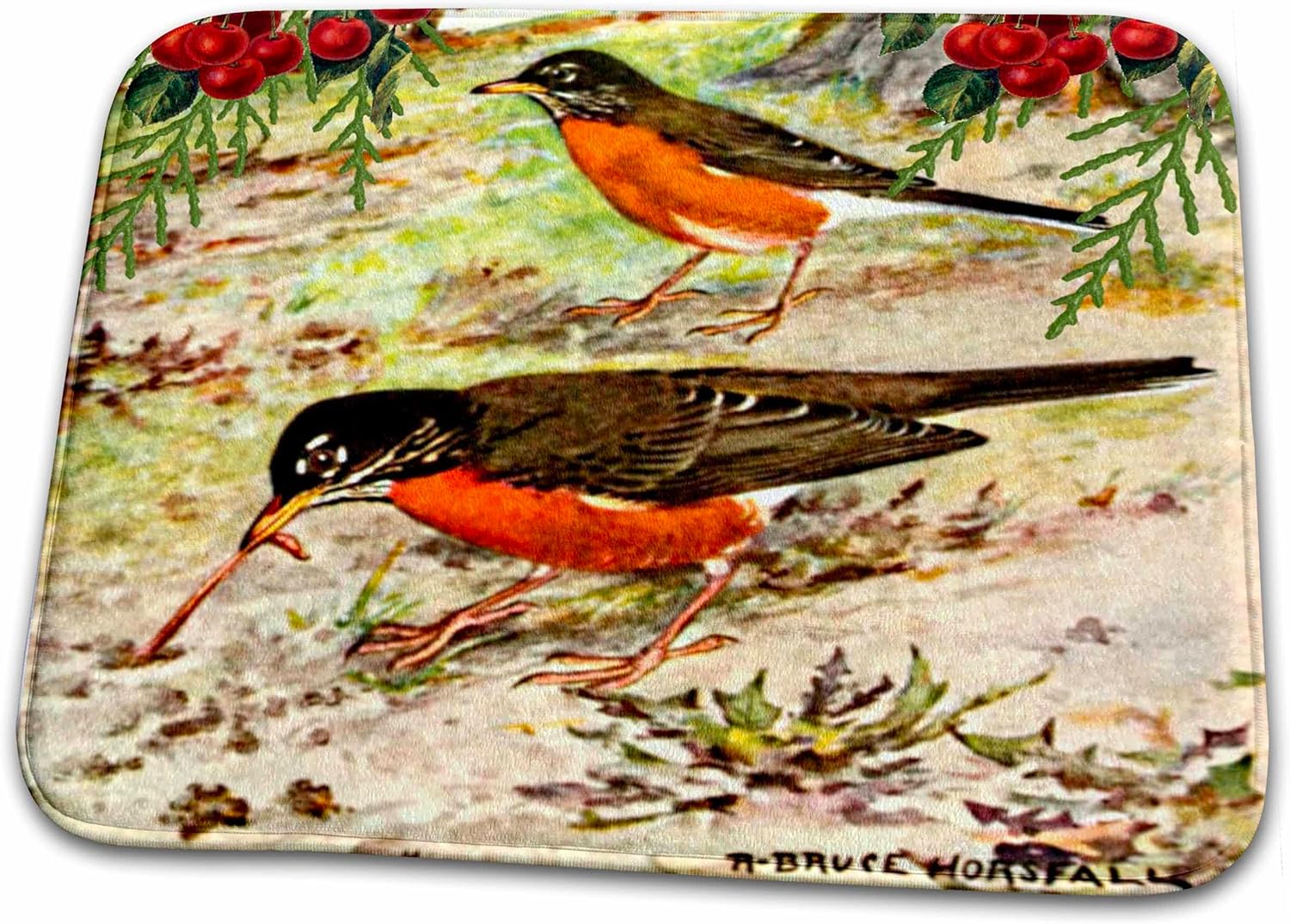 Amazon.com: Dish Drying Mat - Vintage Bird Art American Robin Catches ...
