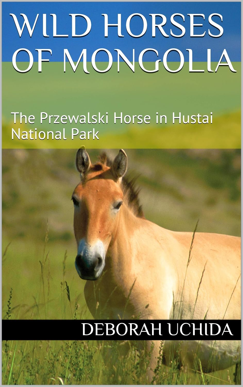 Wild Horses of Mongolia: The Przewalski Horse in Hustai National Park ...