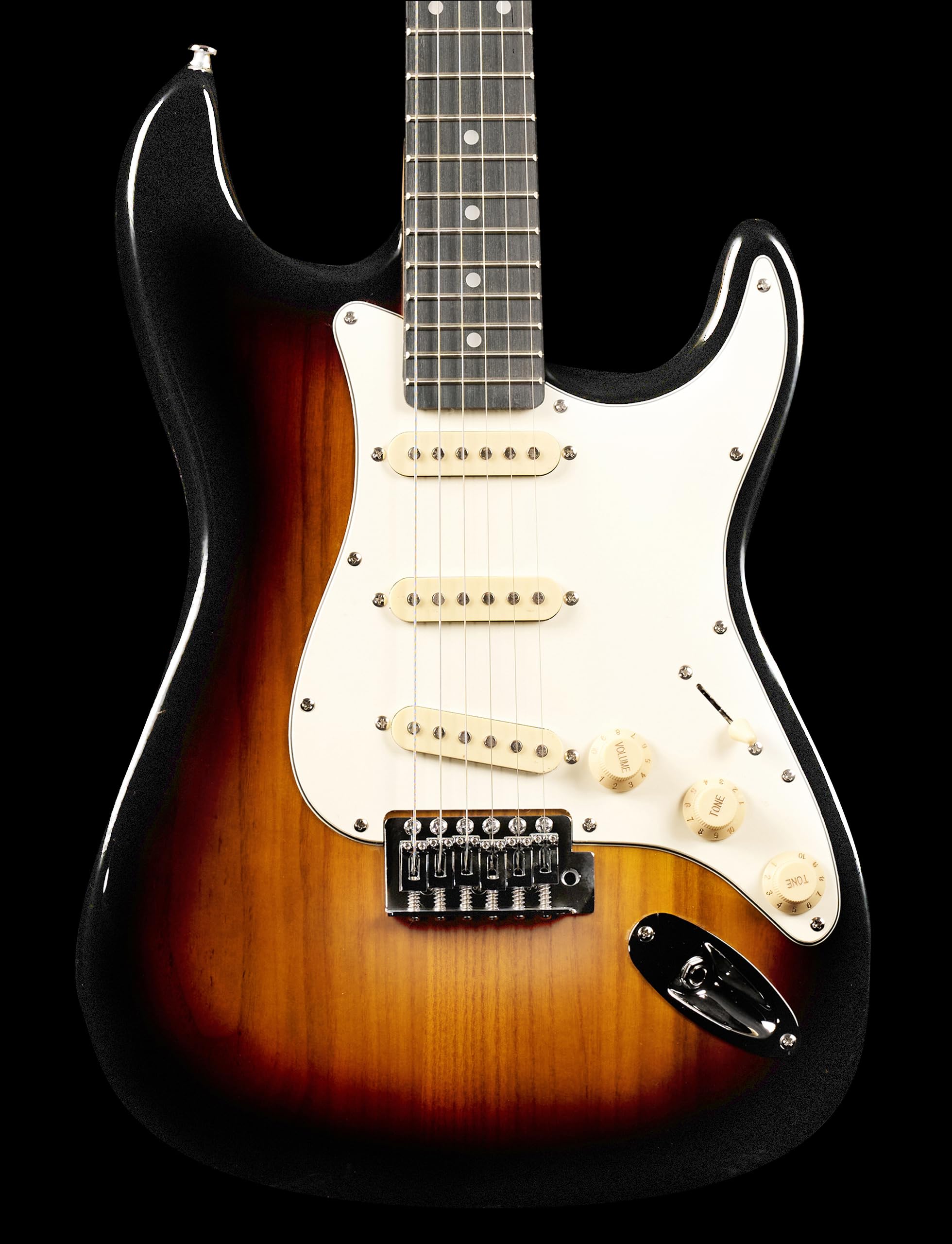 Snapklik.com : Electric Guitar, Sycamore Body, Carbonized Maple Neck ...