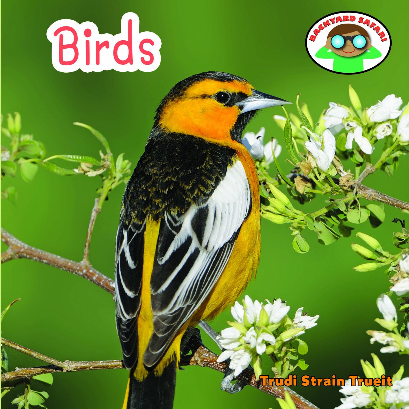 Birds (Backyard Safari): Trueit, Trudi Strain: 9781608702428: Amazon ...