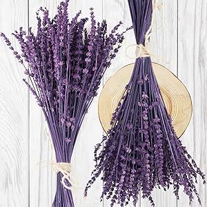 Amazon.com: Paquete de flores secas de lavanda preservada - Ramo ...