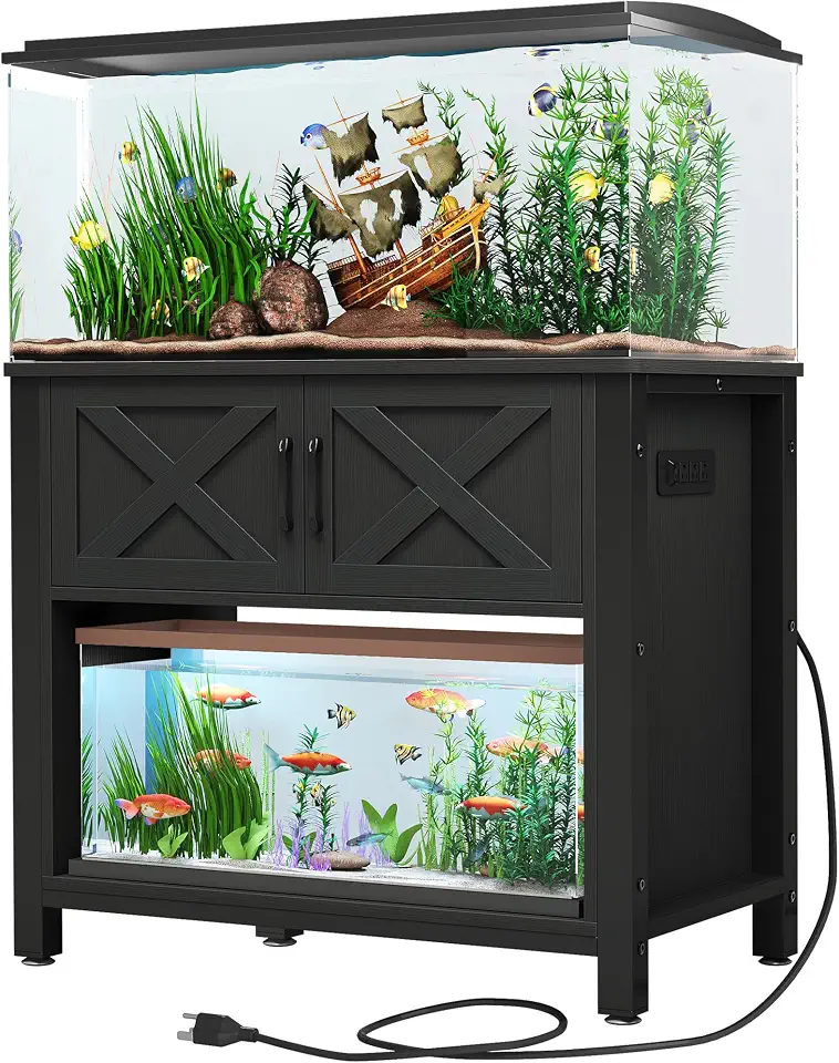 How To Transform A Fish Tank Into A Beautiful Terrarium | PetShun