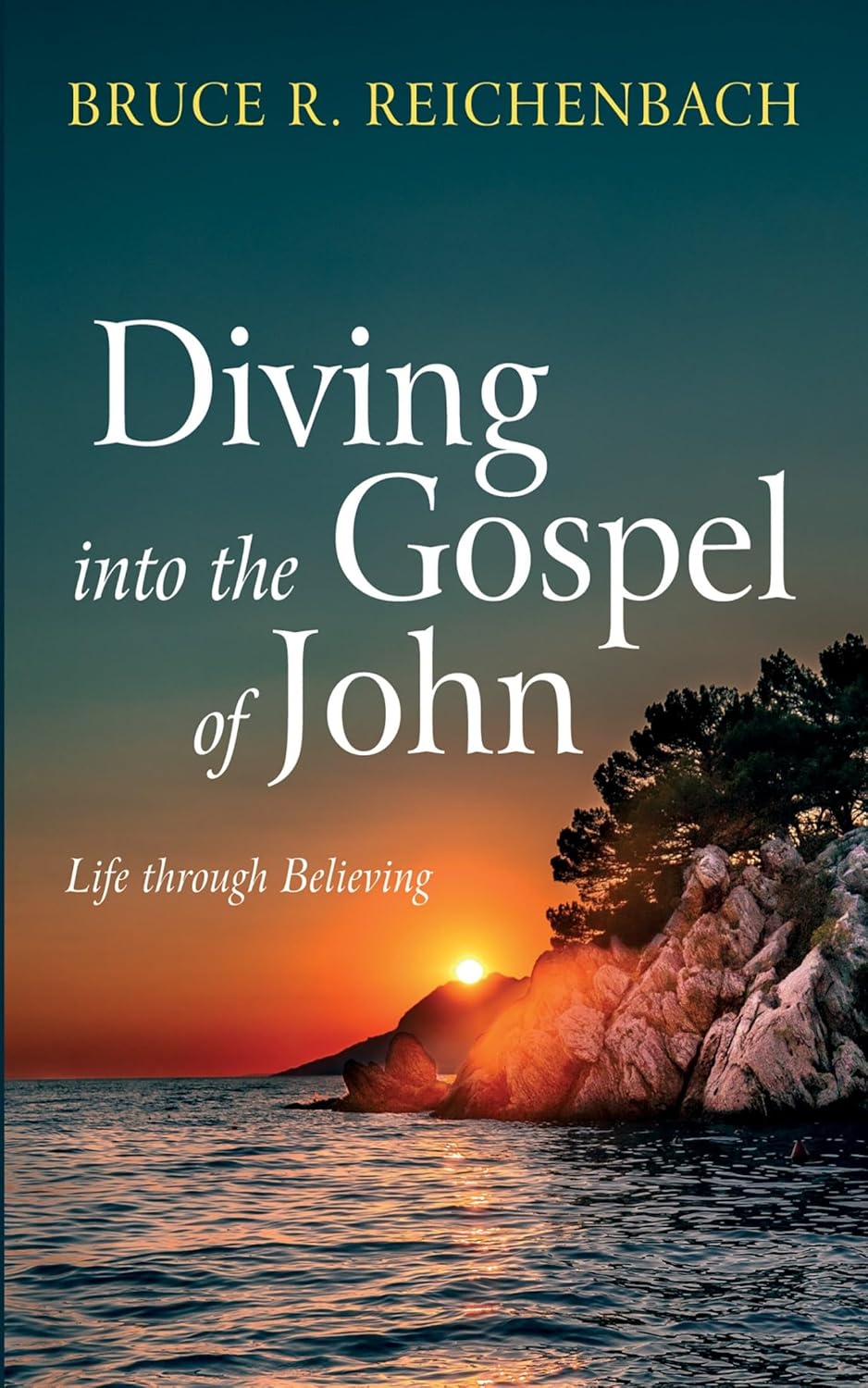 Diving into the Gospel of John: Life through Believing: Reichenbach ...