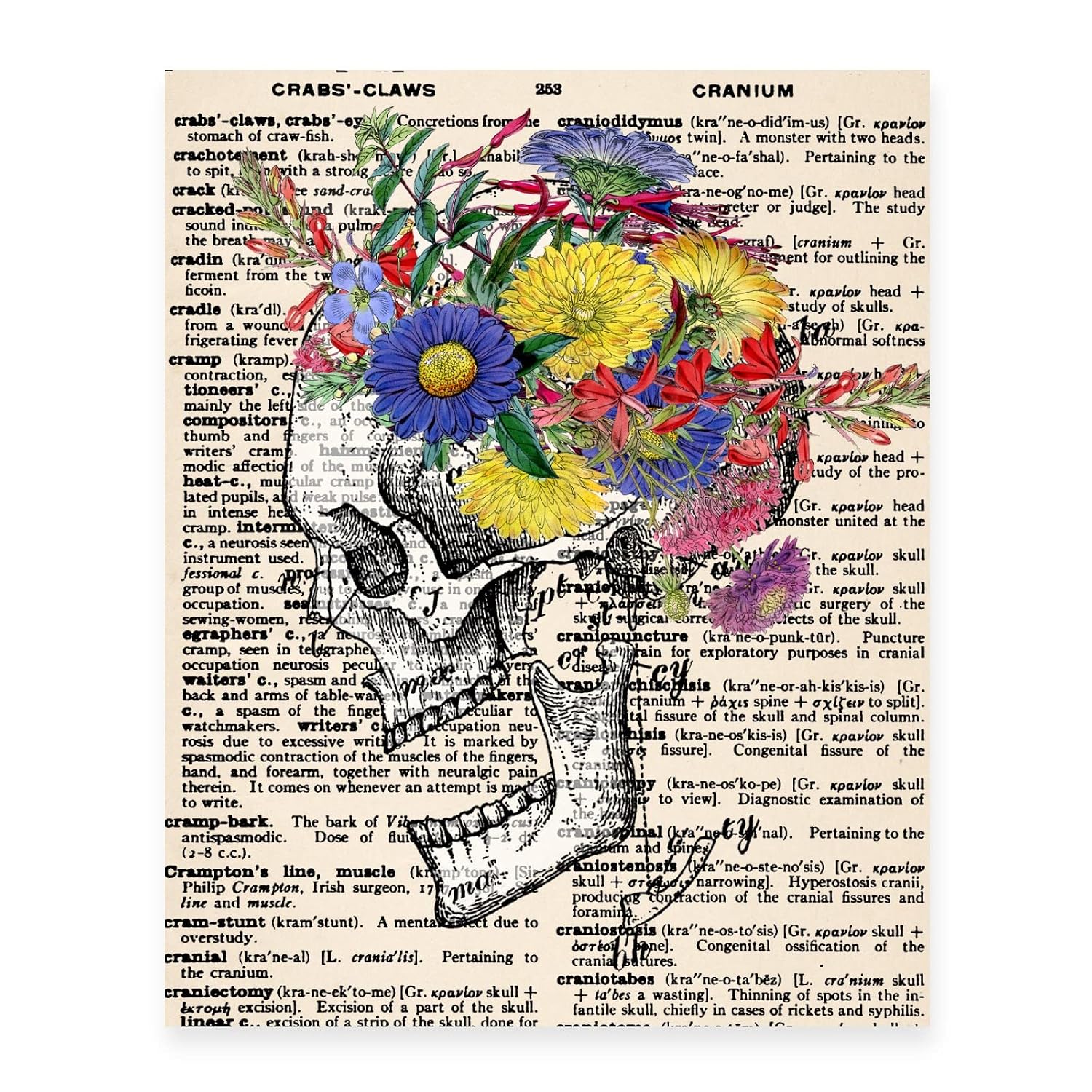 Amazon.com: Anatomical Skull Unframed Photo Print - Vintage Floral and ...