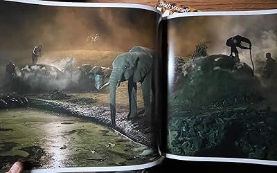 Amazon.com: Nick Brandt: This Empty World: 9780500545140: Brandt, Nick ...