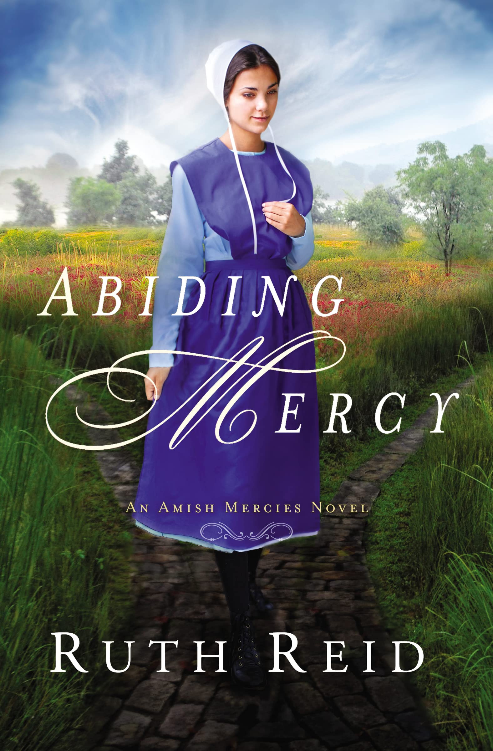 Abiding Mercy (An Amish Mercies Novel): Reid, Ruth: 9780718082444 ...