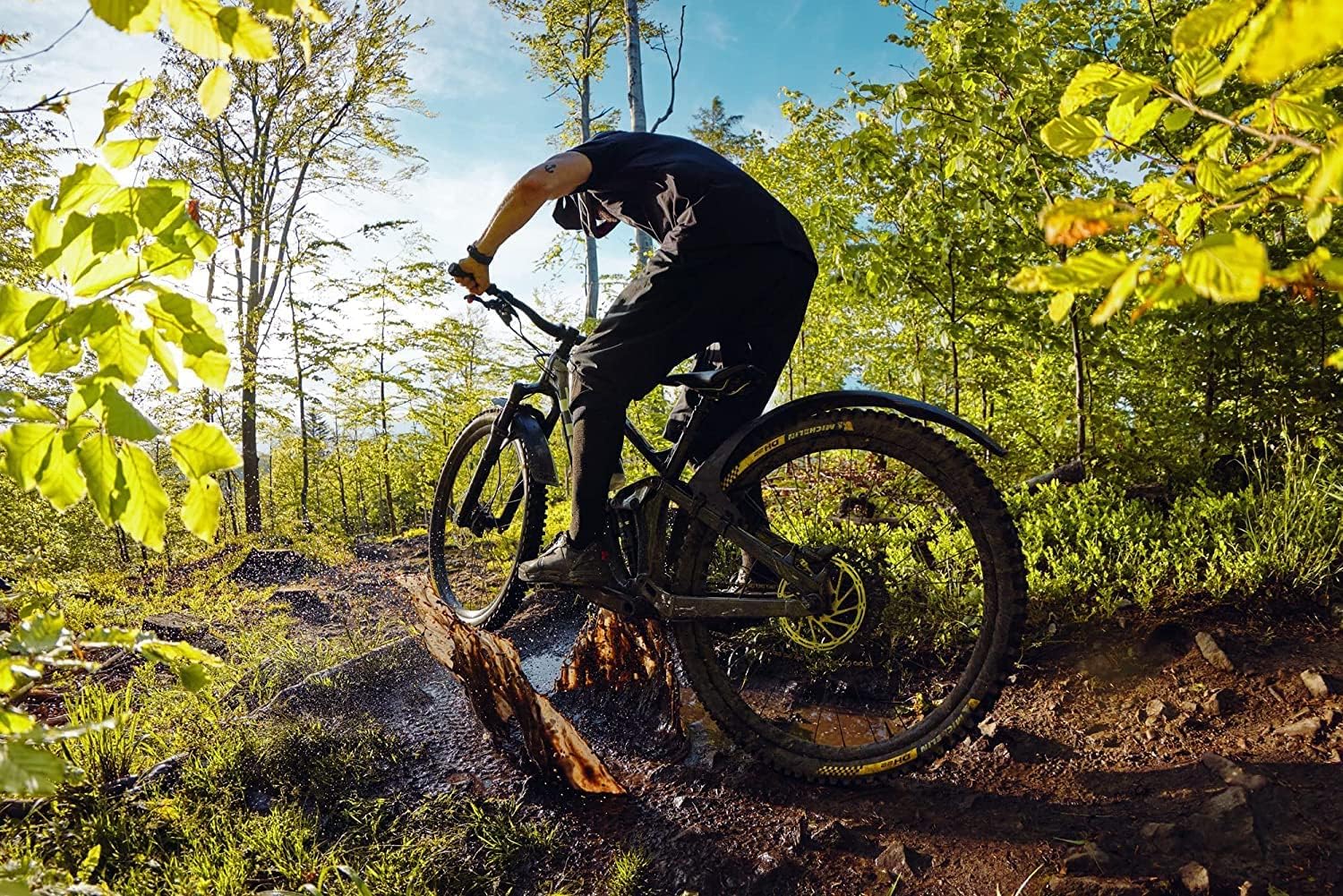 Buy SKS - Mudrocker Bike Rear Fender, MTB Mudguard, Glass Fiber ...