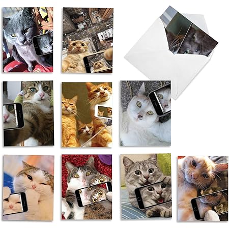 The Best Card Company - 10 All Occasion Blank Cat Cards (4 x 5.12 Inch ...