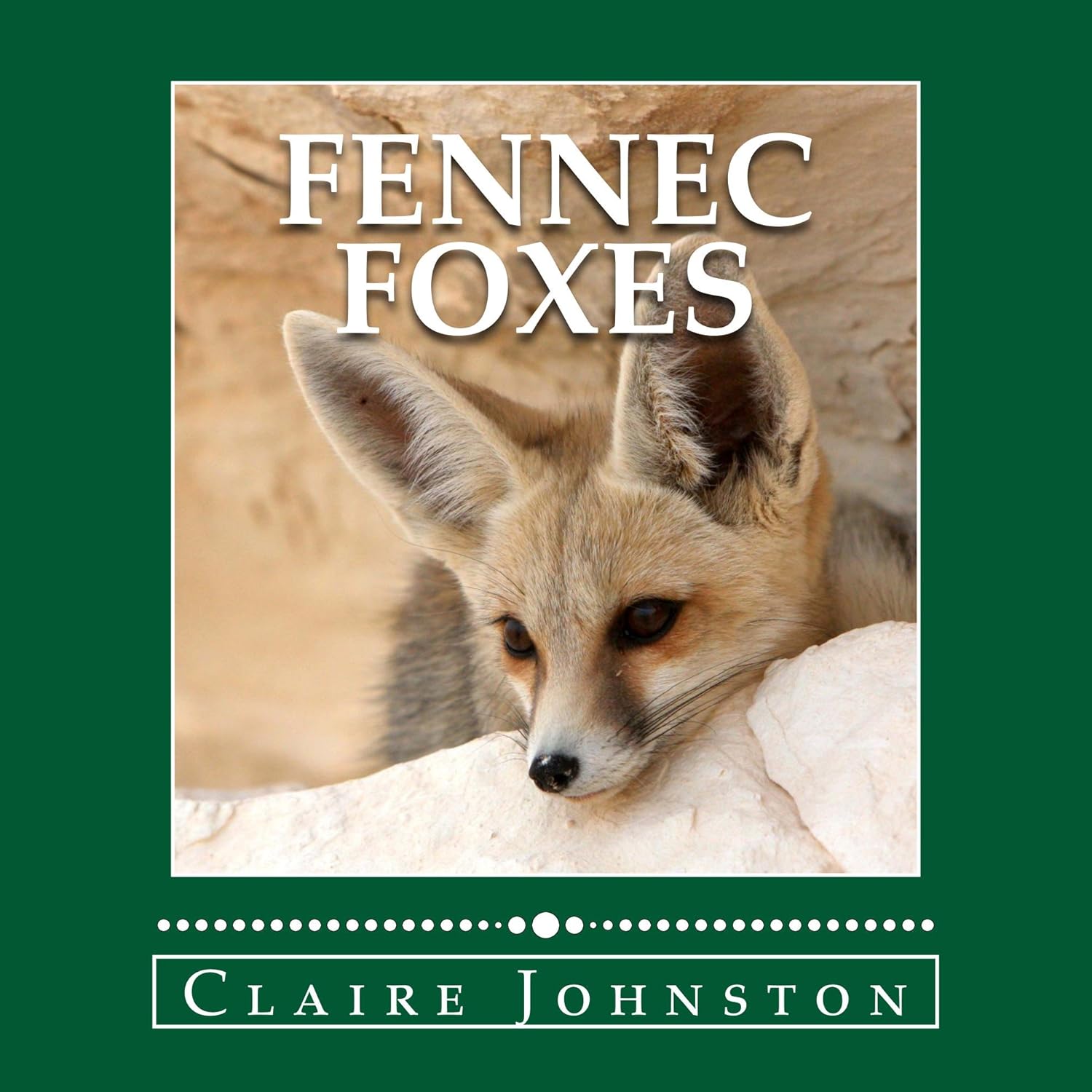 Fennec Foxes: Wily Desert Hunters (the My Favorite Animals series ...