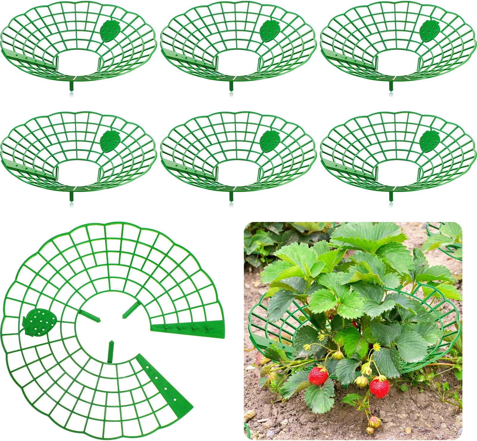 Amazon.com : 60 Pcs Strawberry Supports Strawberry Plant Support ...