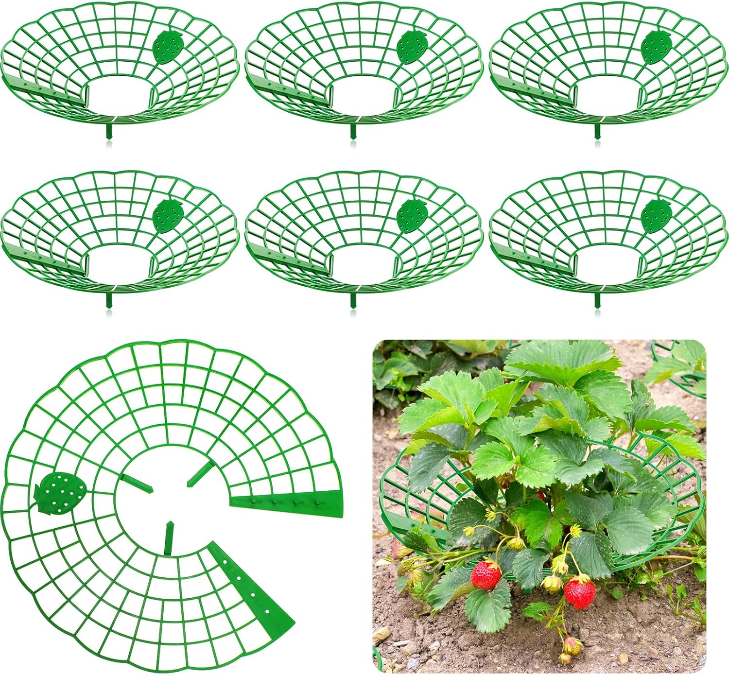 Amazon.com : 60 Pcs Strawberry Supports Strawberry Plant Support ...