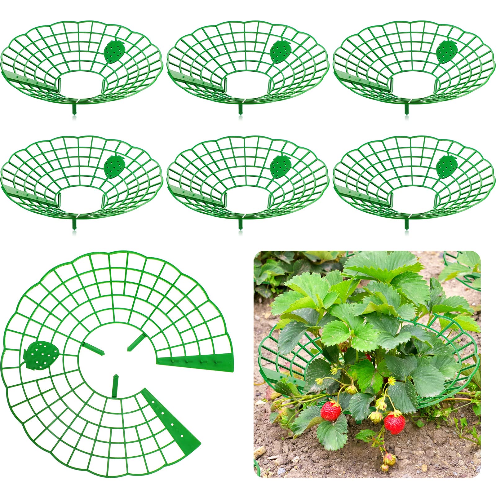 60 Pcs Strawberry Supports Strawberry Plant Support Strawberry Growing ...