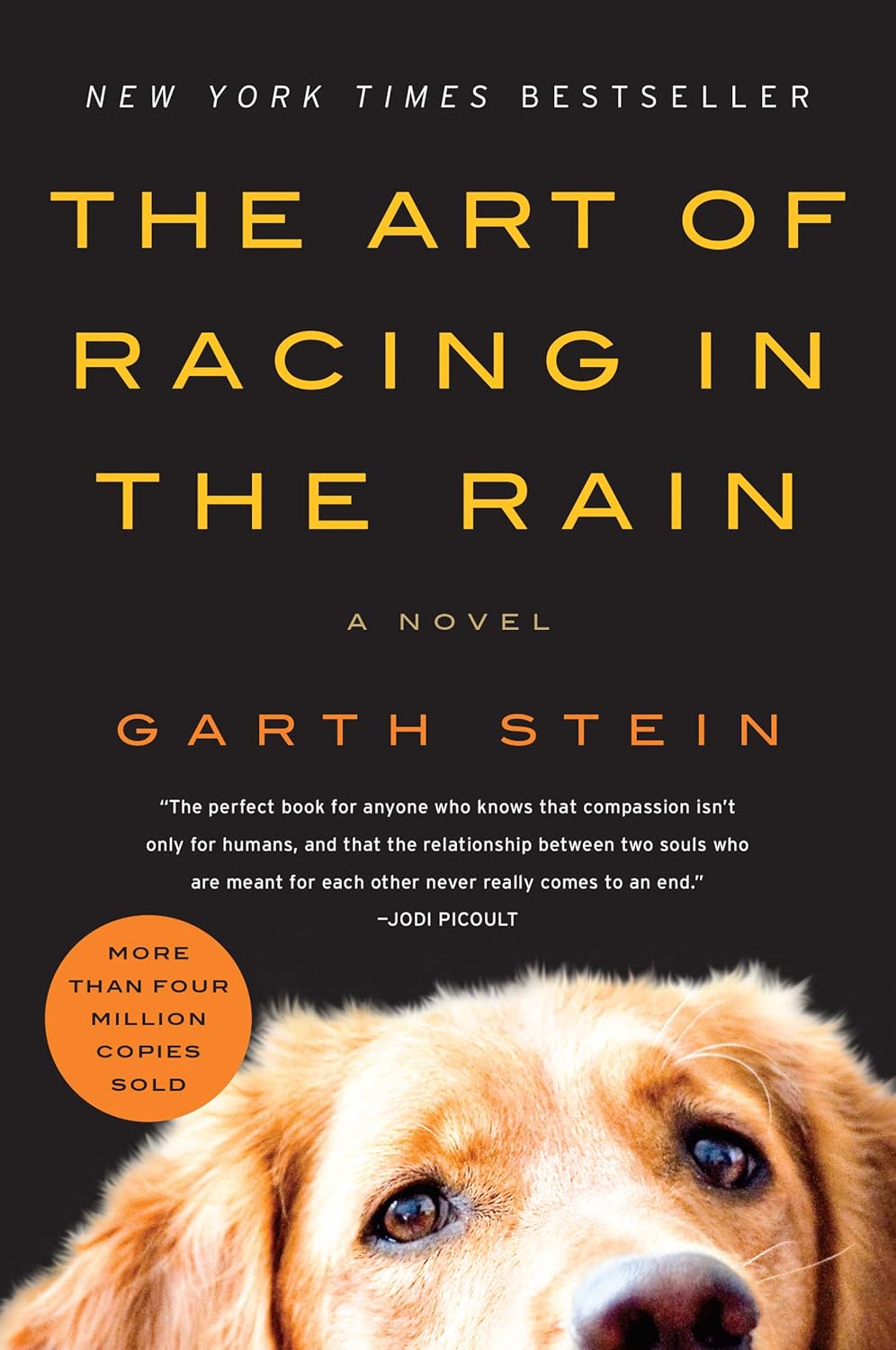 Amazon.com: The Art of Racing in the Rain: A Novel eBook : Stein, Garth ...