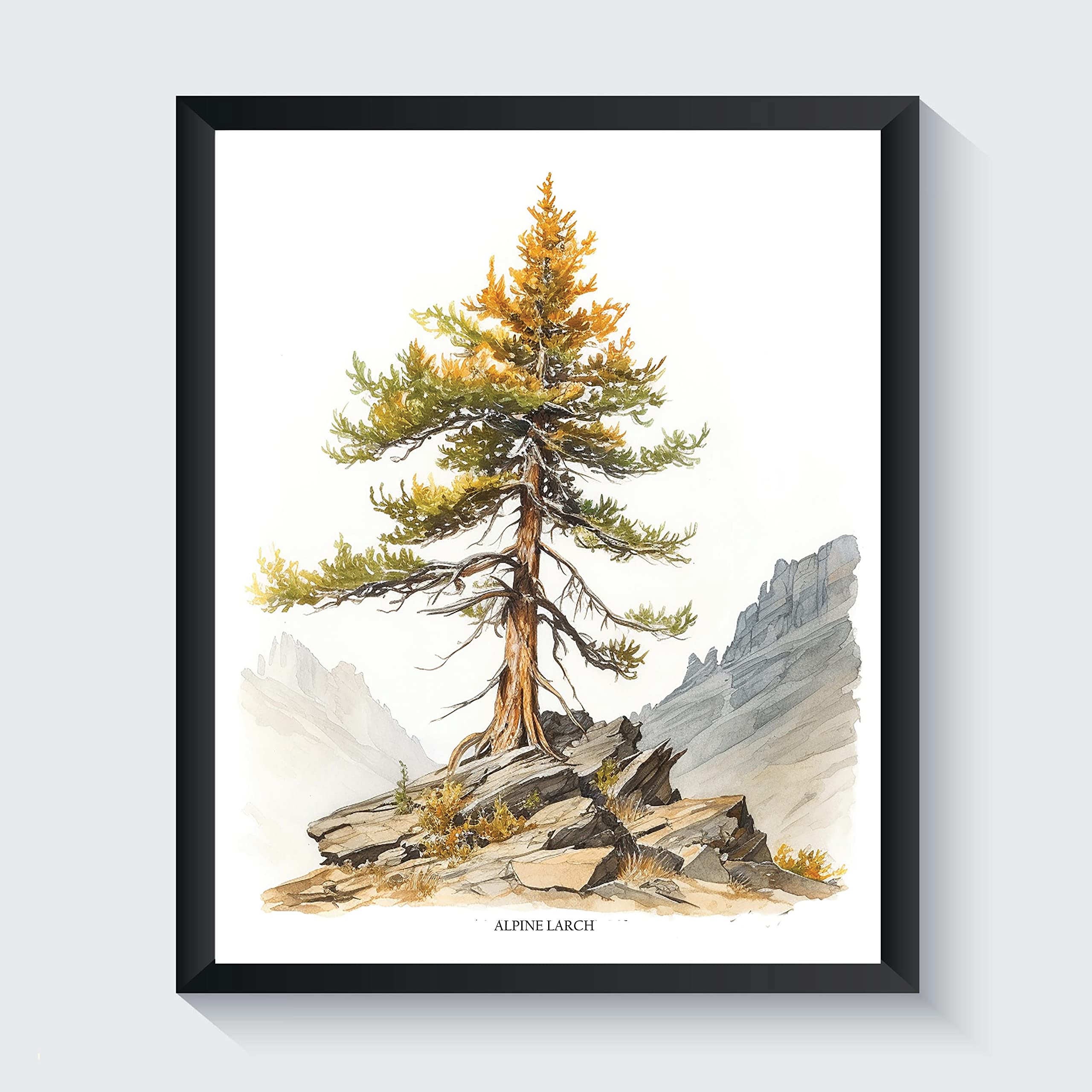 Pine Tree Colored Pencil The Three Dead Trees Ink With Colored Pencil