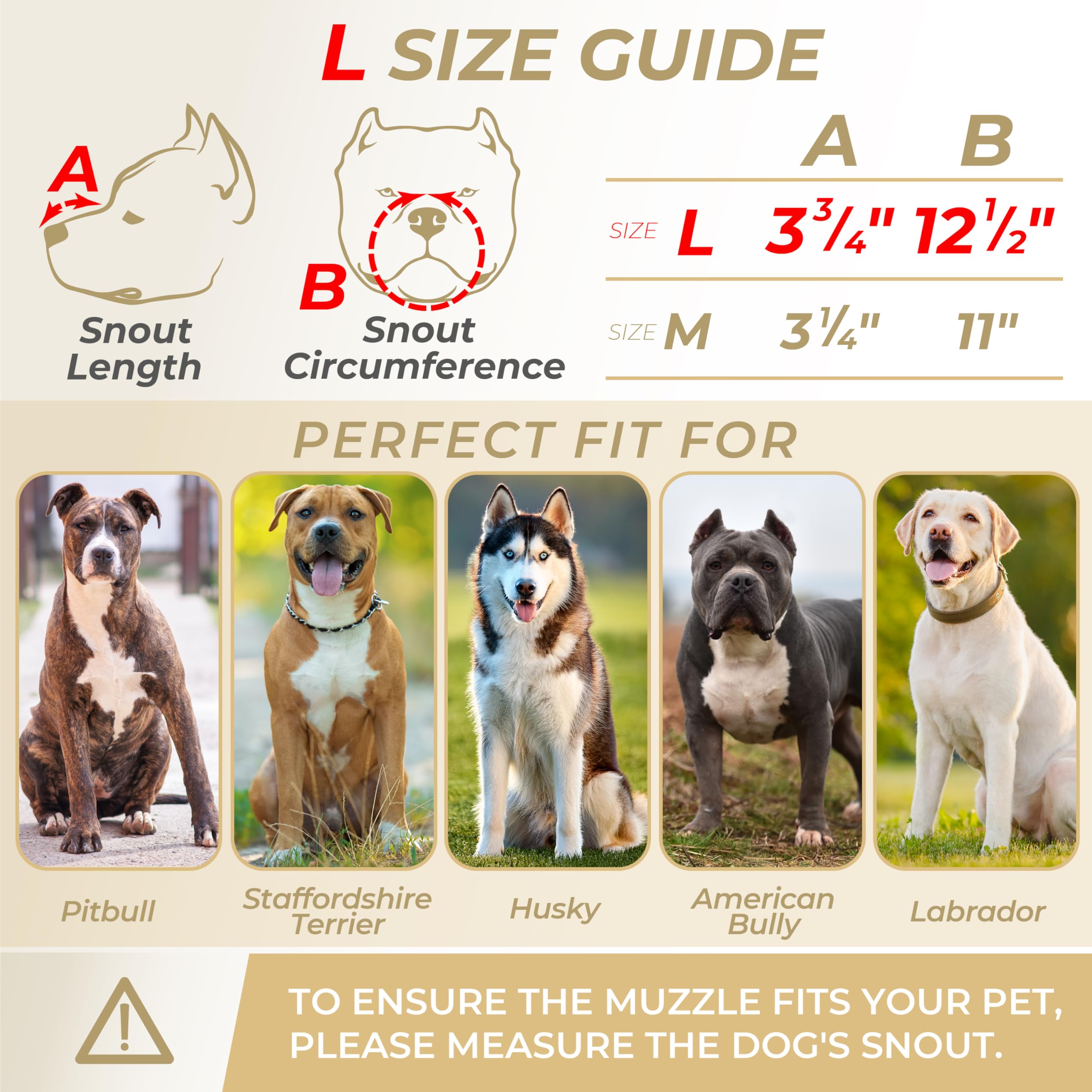 American Staffordshire Terrier Growth Chart American Staffordshire