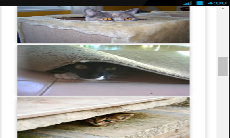 Hiding Meme Generator. - App on Amazon Appstore