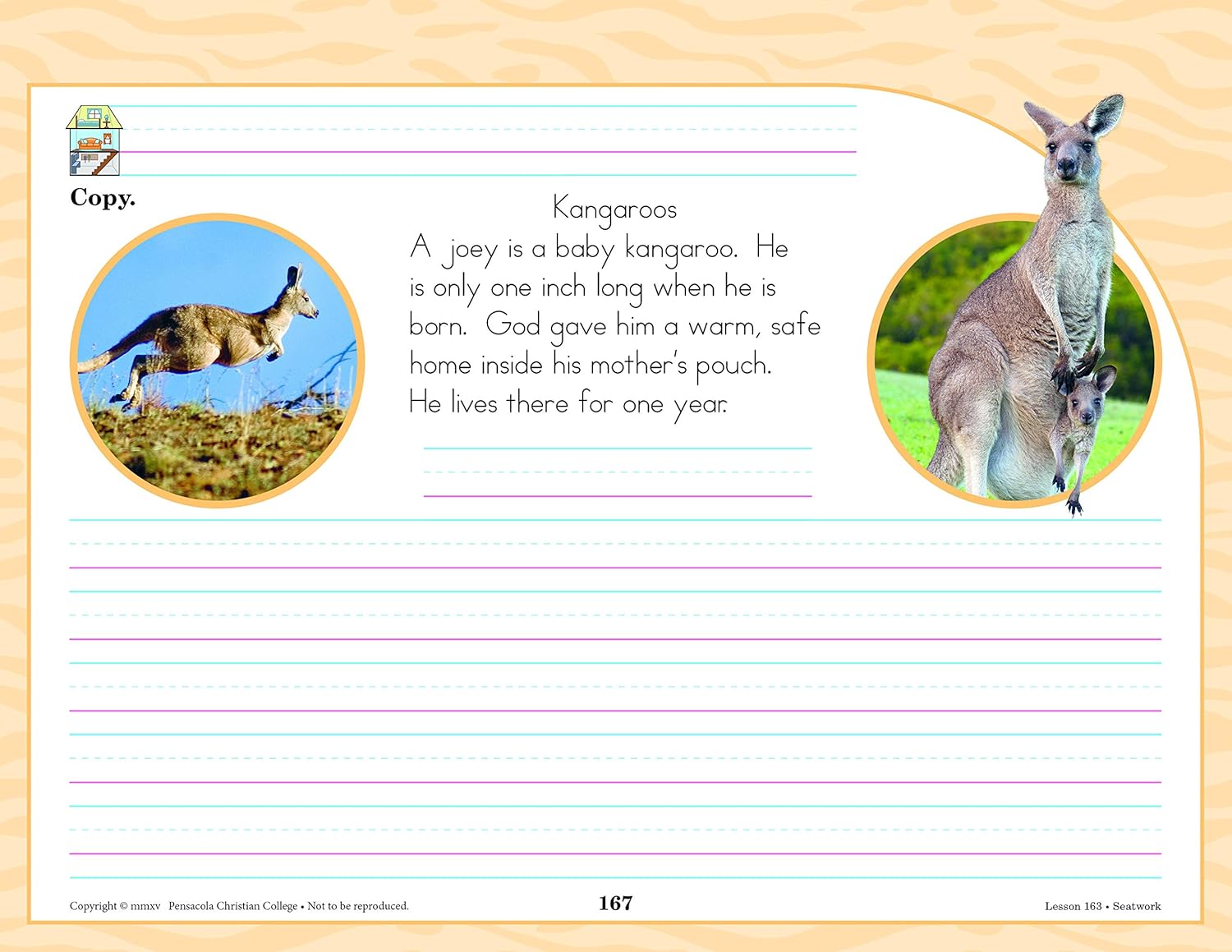 Writing with Phonics 1 Manuscript- Abeka 1st Grade 1 Philippines | Ubuy