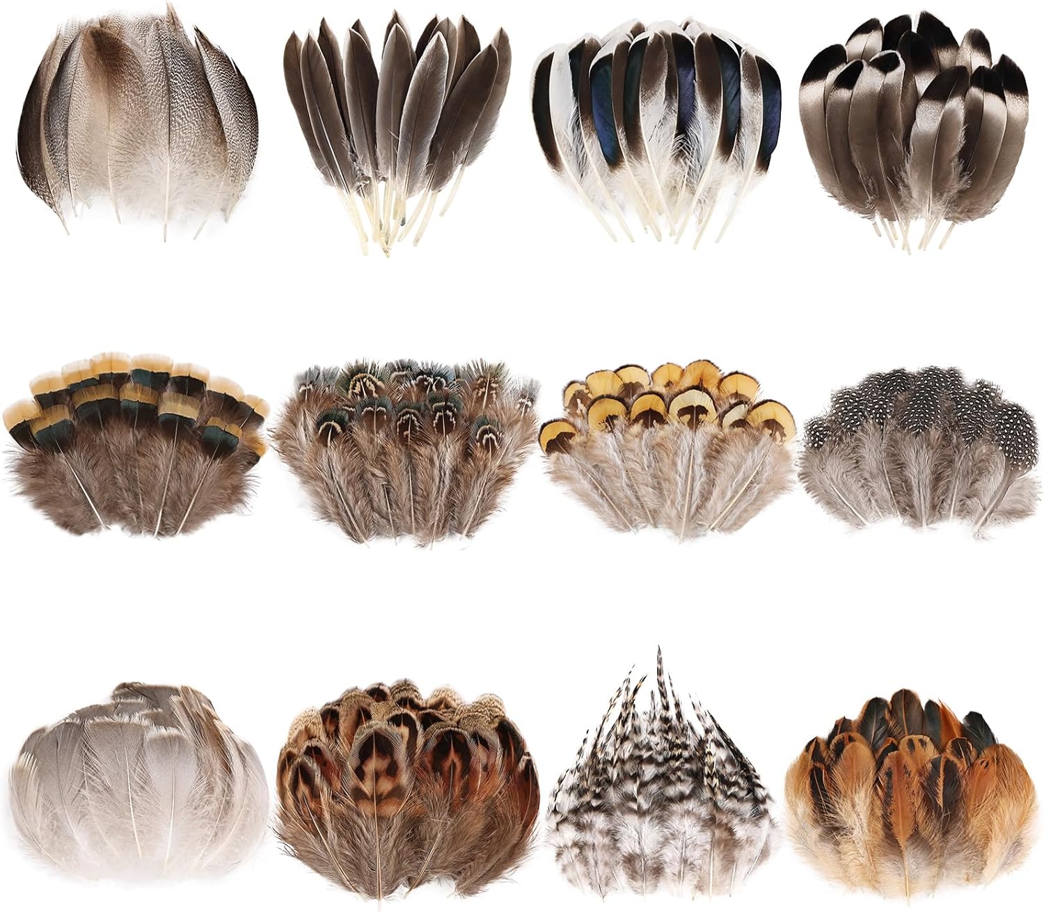 Amazon.com: iHUFeather 360pcs Natural Pheasant Feathers Bulk Small ...