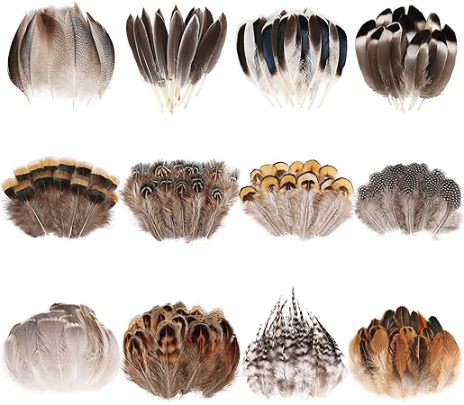 Amazon.com: iHUFeather 360pcs Natural Pheasant Feathers Bulk Small ...