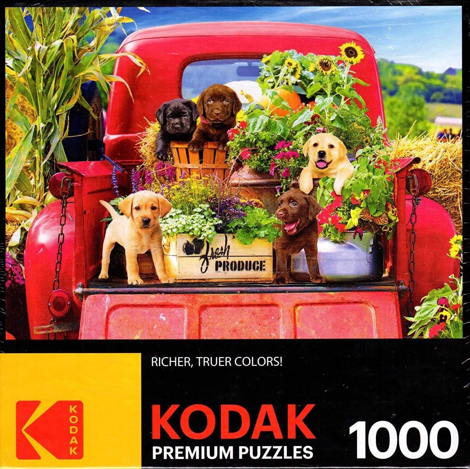 Amazon Kodak 1000 Piece Jigsaw Puzzle Stowaways Toys Games amazon-kodak-1000-piece-jigsaw-puzzle-stowaways-toys-games