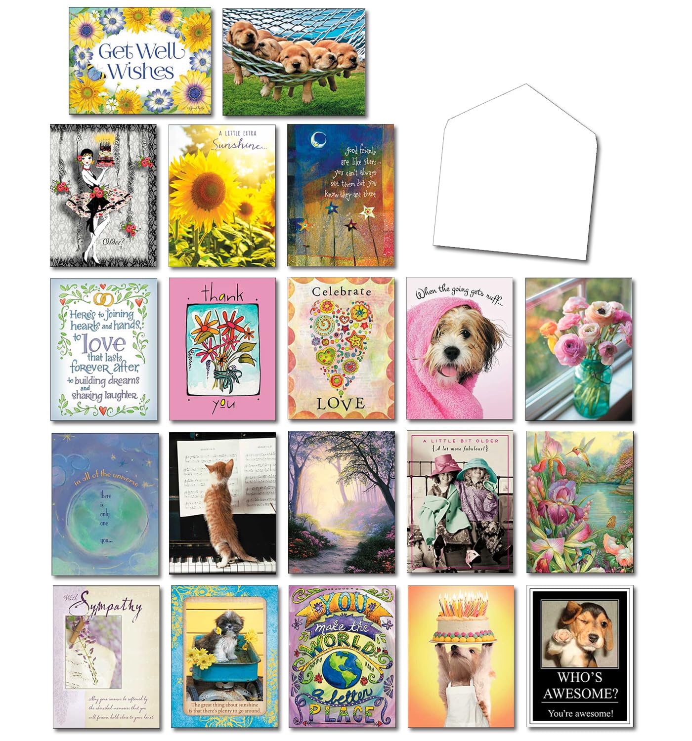 Amazon.com : Leanin' Tree, Greeting Cards Assortment Box, 20 All ...