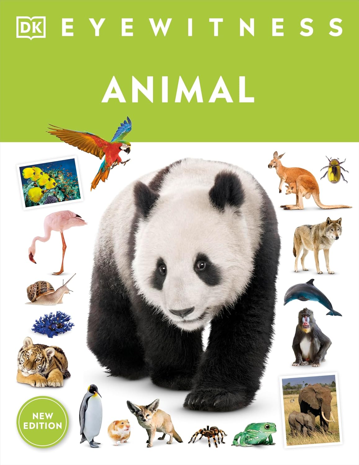 Eyewitness Animal (DK Eyewitness): DK: 9780593843819: Amazon.com: Books