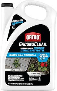 Amazon.com : Ortho GroundClear Weed and Grass Killer Super Concentrate1 ...