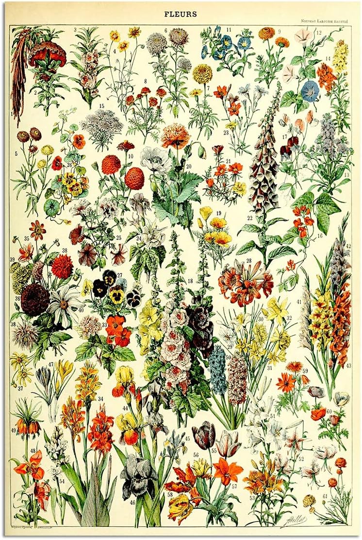 Amazon.com: Plant Theme Decor,Retro Botanical Wall Art Prints,Vintage ...