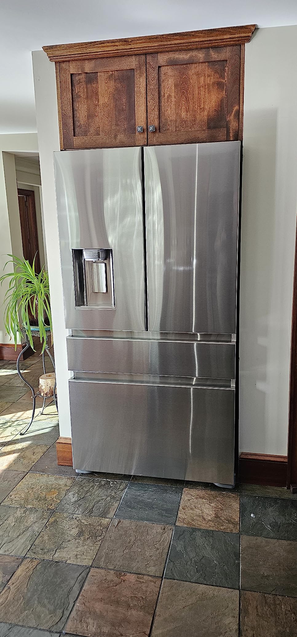 Amazon.com: Dacor DRF36C000SR/DA Refrigerator : Appliances