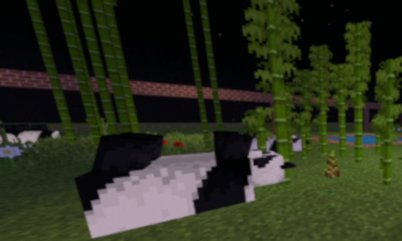 Panda Resort - App on Amazon Appstore