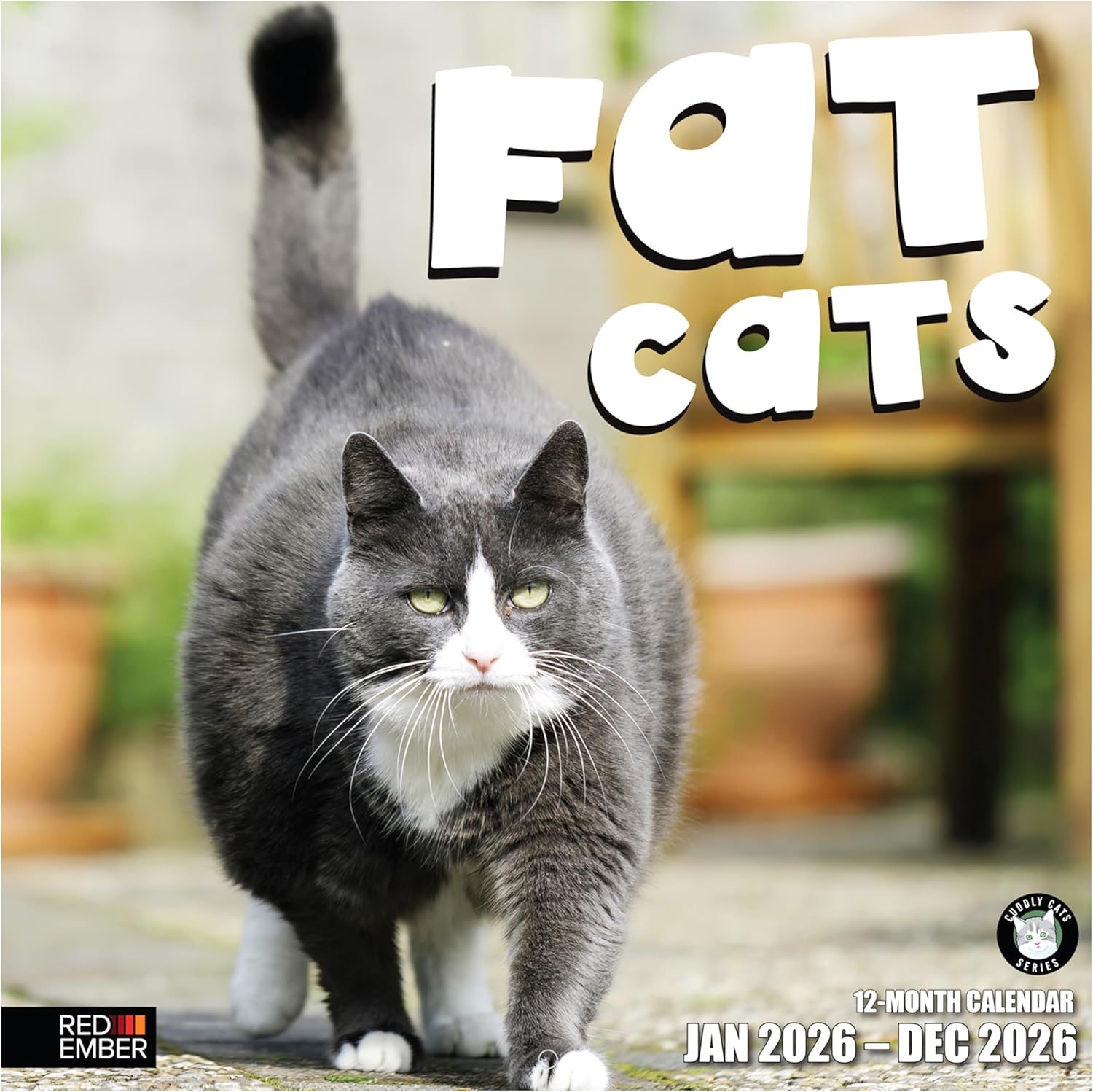 RED EMBER Fat Cats 2026 Wall Calendar 12 Month | 12" x 24" Open | Thick ...