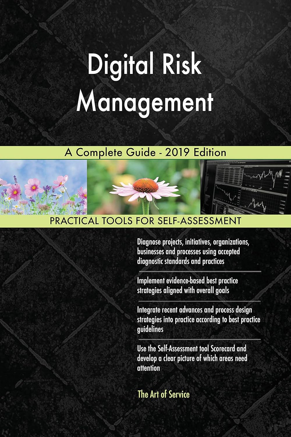 Digital Risk Management A Complete Guide - 2019 Edition eBook : Blokdyk ...