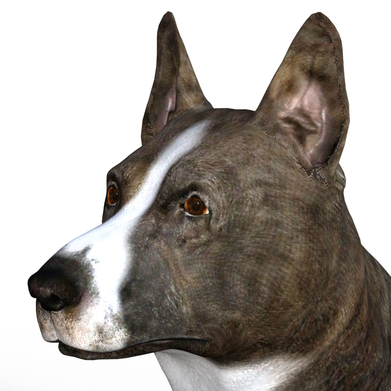 Amazon.com: Bellamy Travis: books, biography, latest update