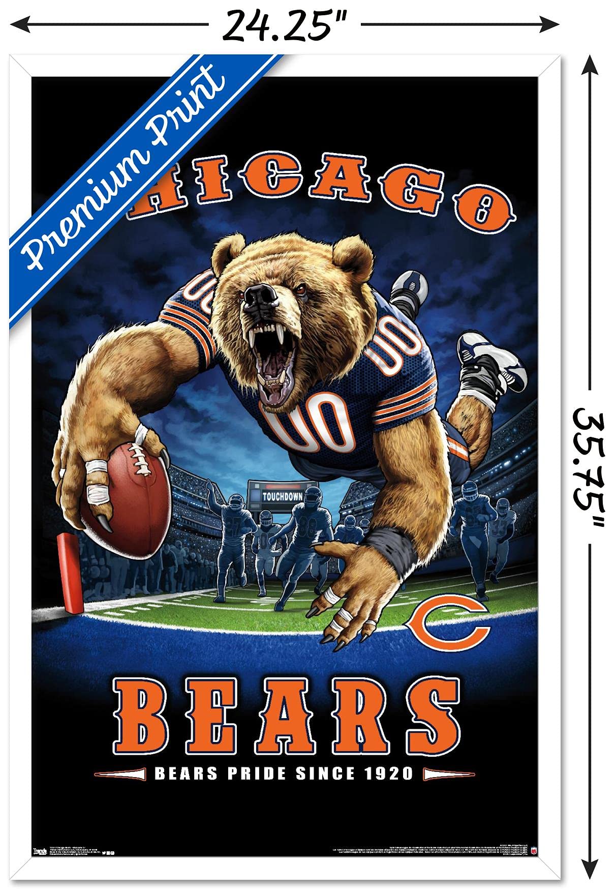 2017 Chicago Bears Vikings Know Your Enemy Week 17: Chicago Bears