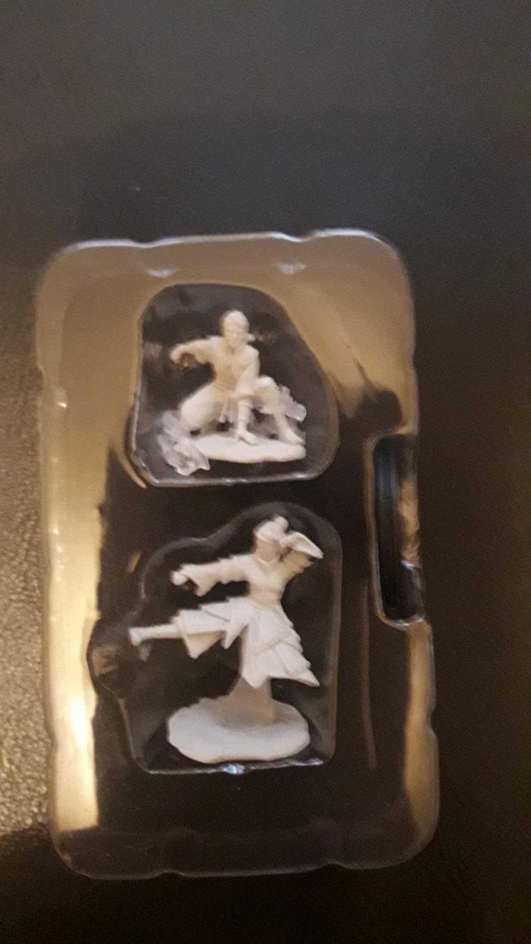 Amazon.com: D&D Nolzur's Marvelous Miniatures - Female Human Monk ...