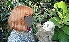 Amazon.com: Folkmanis Baby Sloth Hand Puppet : Toys & Games